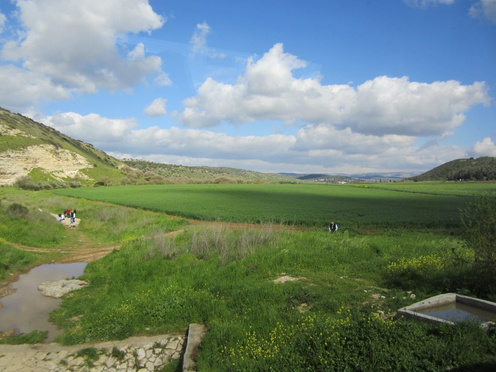 Valley of Elah-2 - Biblos Foundation